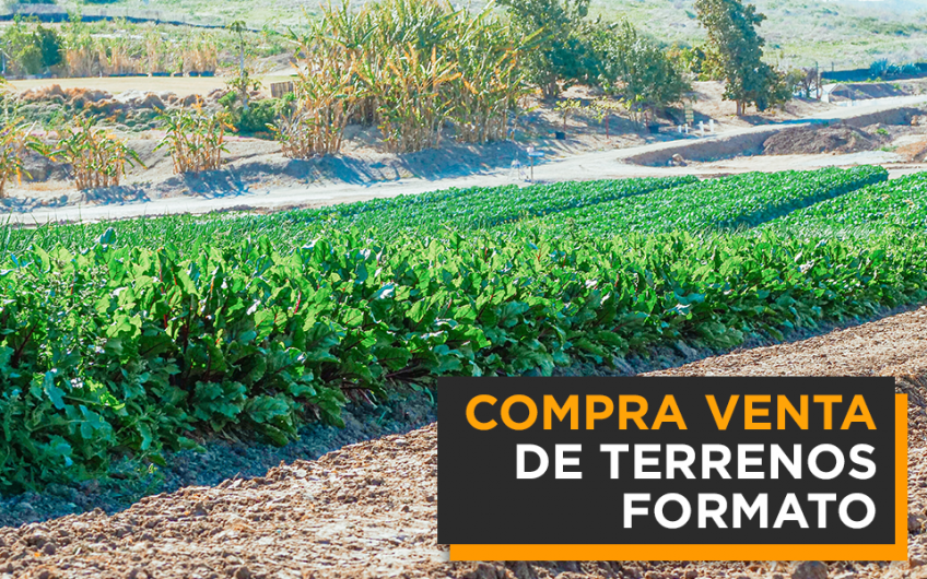 Terrenos a la Venta en México | Busco Terrenos