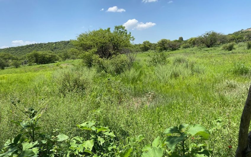 Terrenos a la Venta en México | Busco Terrenos